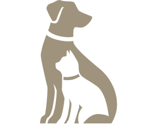 Best Vet Hospital In Muncie, IN | Riverview Animal Hospital